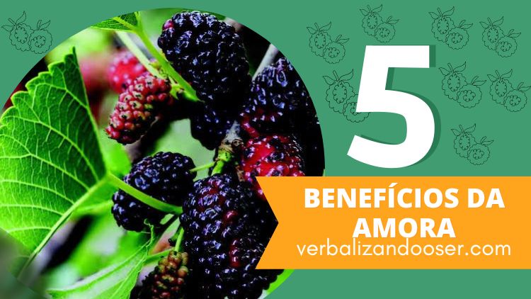 Descubra os Incríveis Benefícios da Amora Para o Corpo e a Mente!